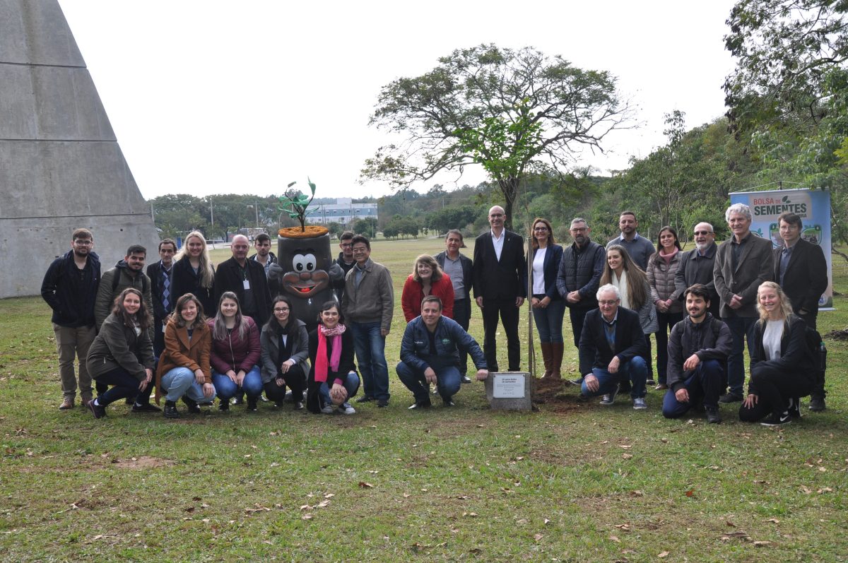 Afubra e UFSM plantam muda de árvore em comemoração à Bolsa de Sementes ...